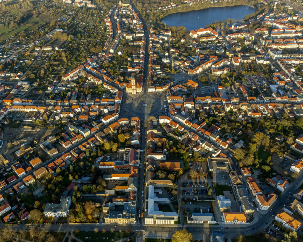 In Deutschland: Diese Blume machte eine Kleinstadt berühmt - wmn.de