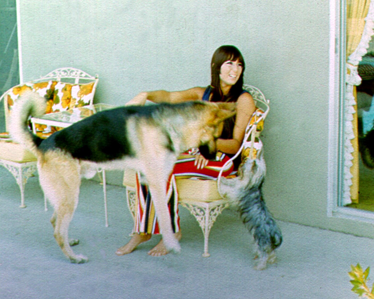 Sängerin Cher privat: 4 Bilder, die nur die Wenigsten kennen - wmn.de